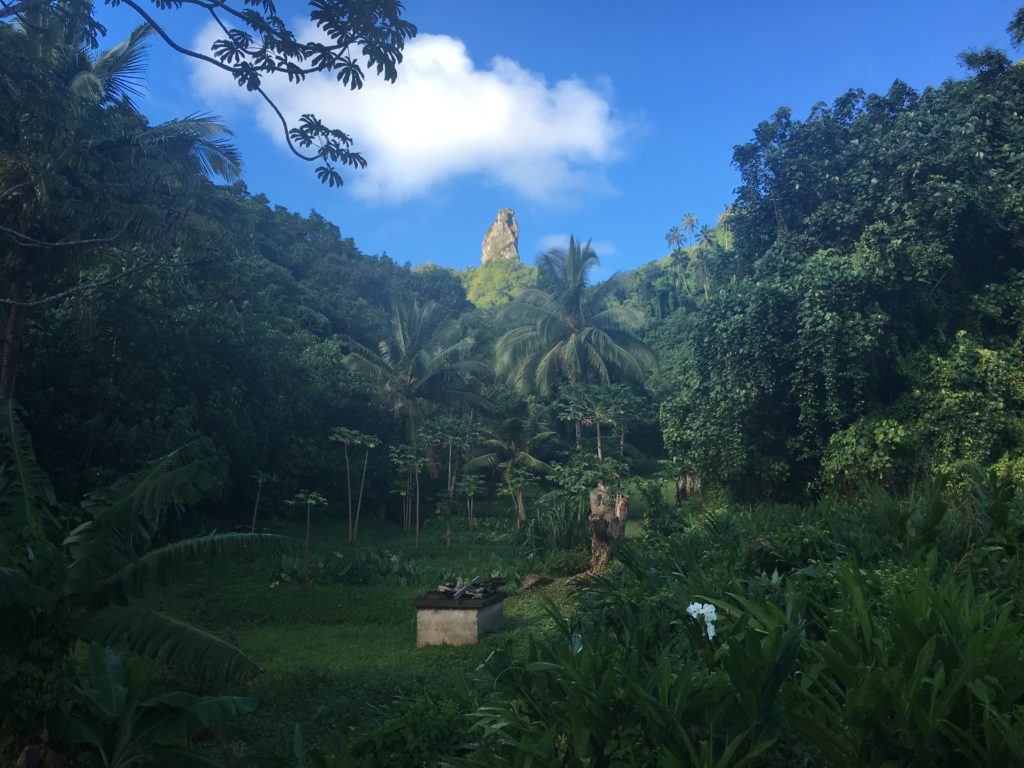 5 Reasons to Visit the Incredible Cook Islands (And How To Get There)