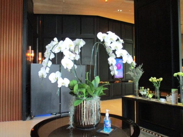 Point Me to the Plane • Your Guide To Points, Planes, Hotels, and Deals